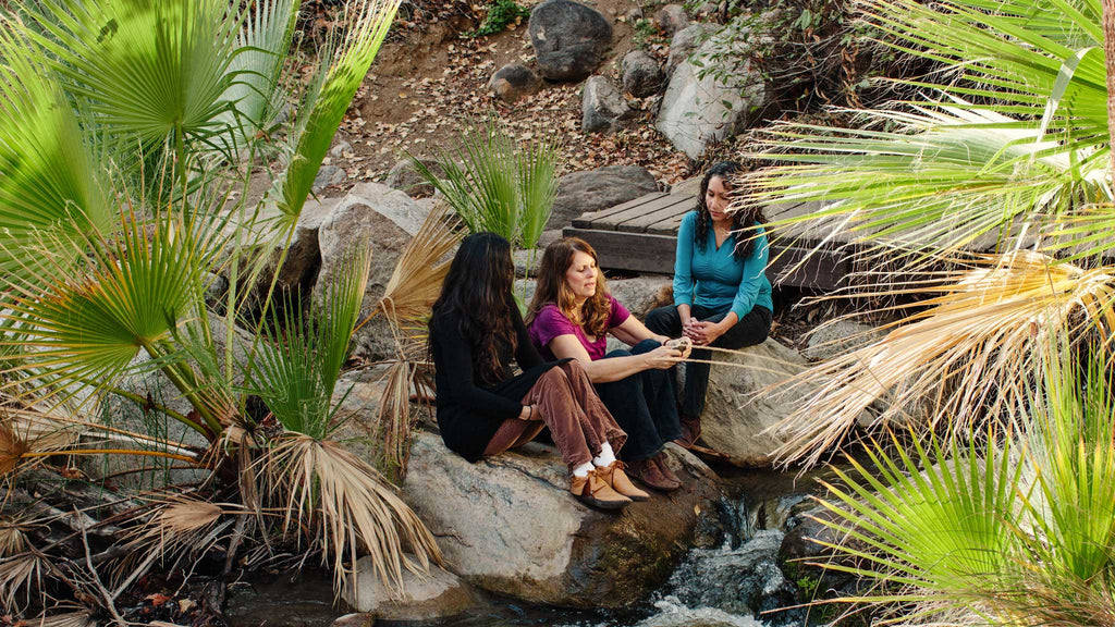 What's New | Sea Chi